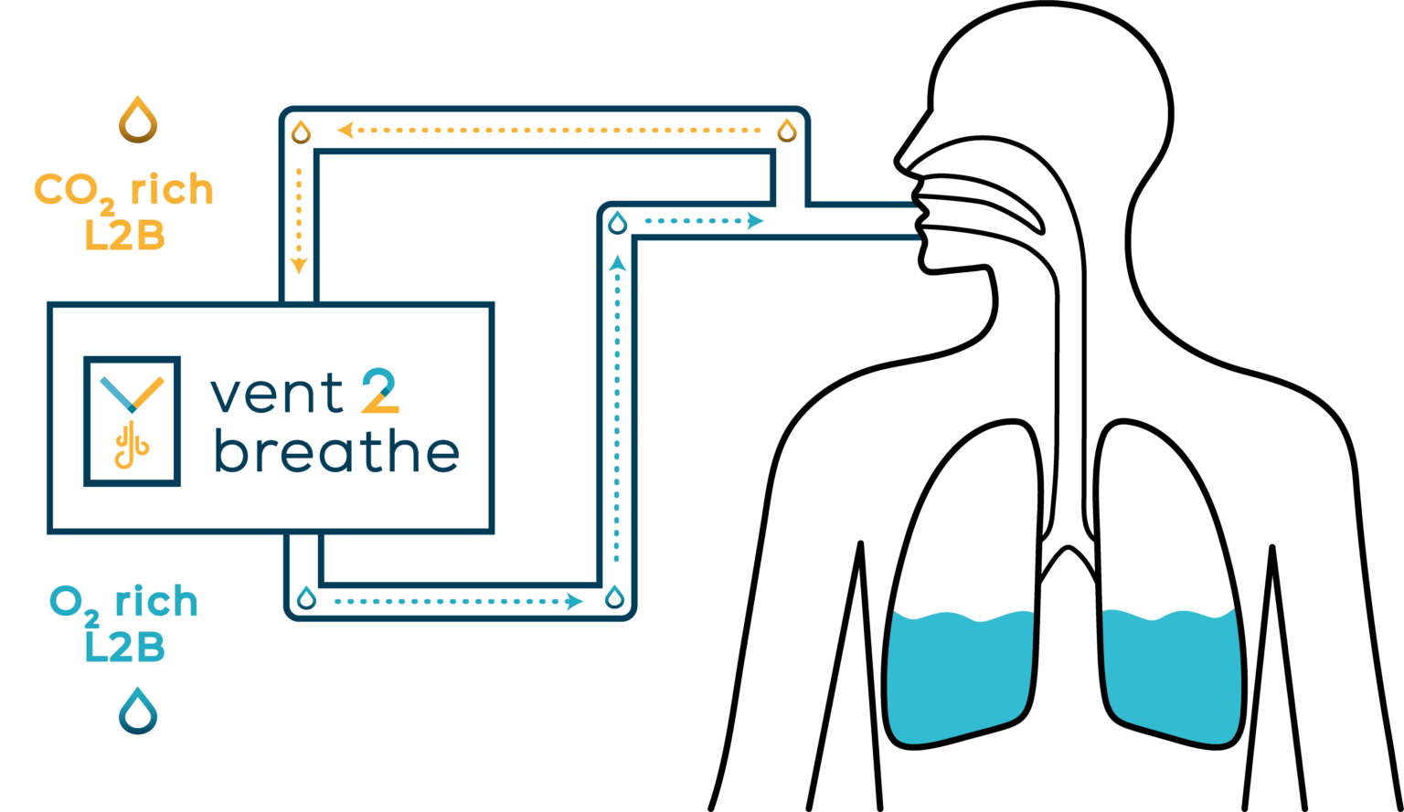 Total Liquid Ventilation Technology – Orixha